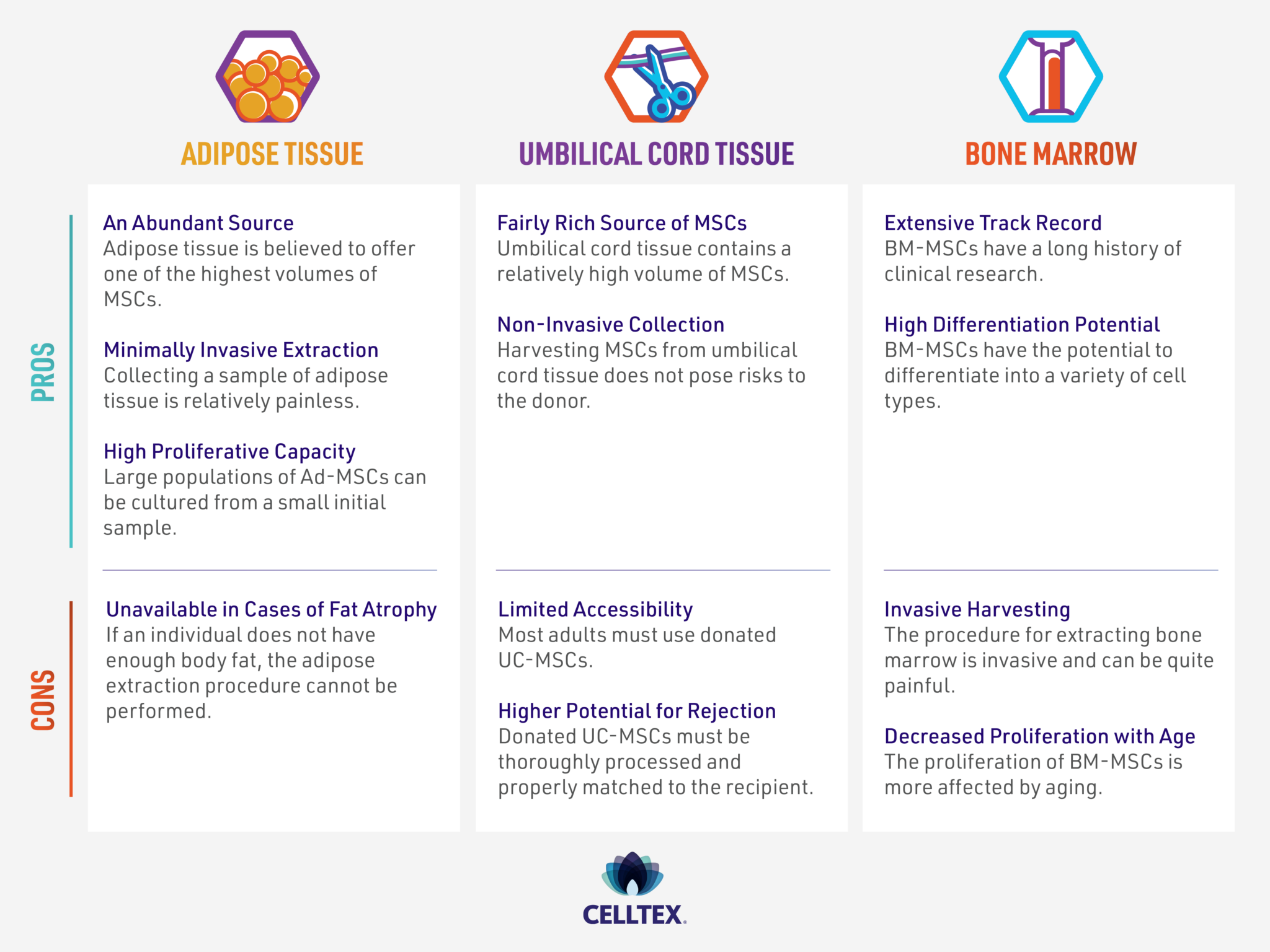 Where Are Mesenchymal Stem Cells (MSCs) Found in the Body? - Celltex ...