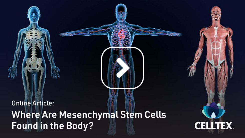 What Is Stem Cell Banking? - Celltex Therapeutics Corporation